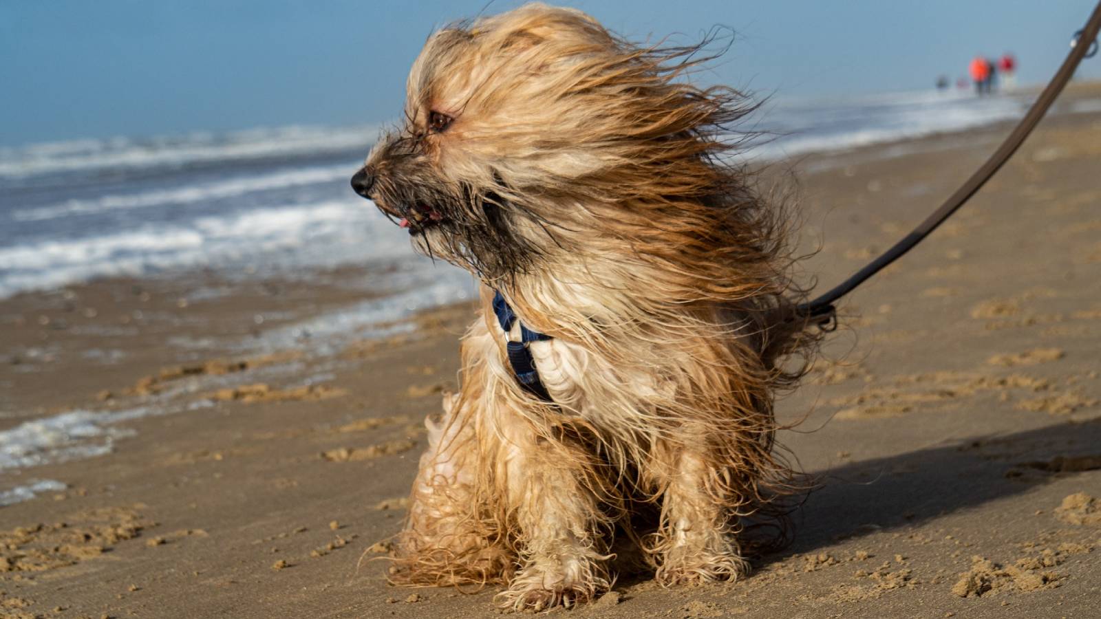 Strong winds in Niagara today already to blame for power outage in ...